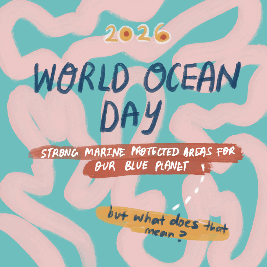 World Ocean Day 2026 Advocates for Strong Marine Protected Areas ...